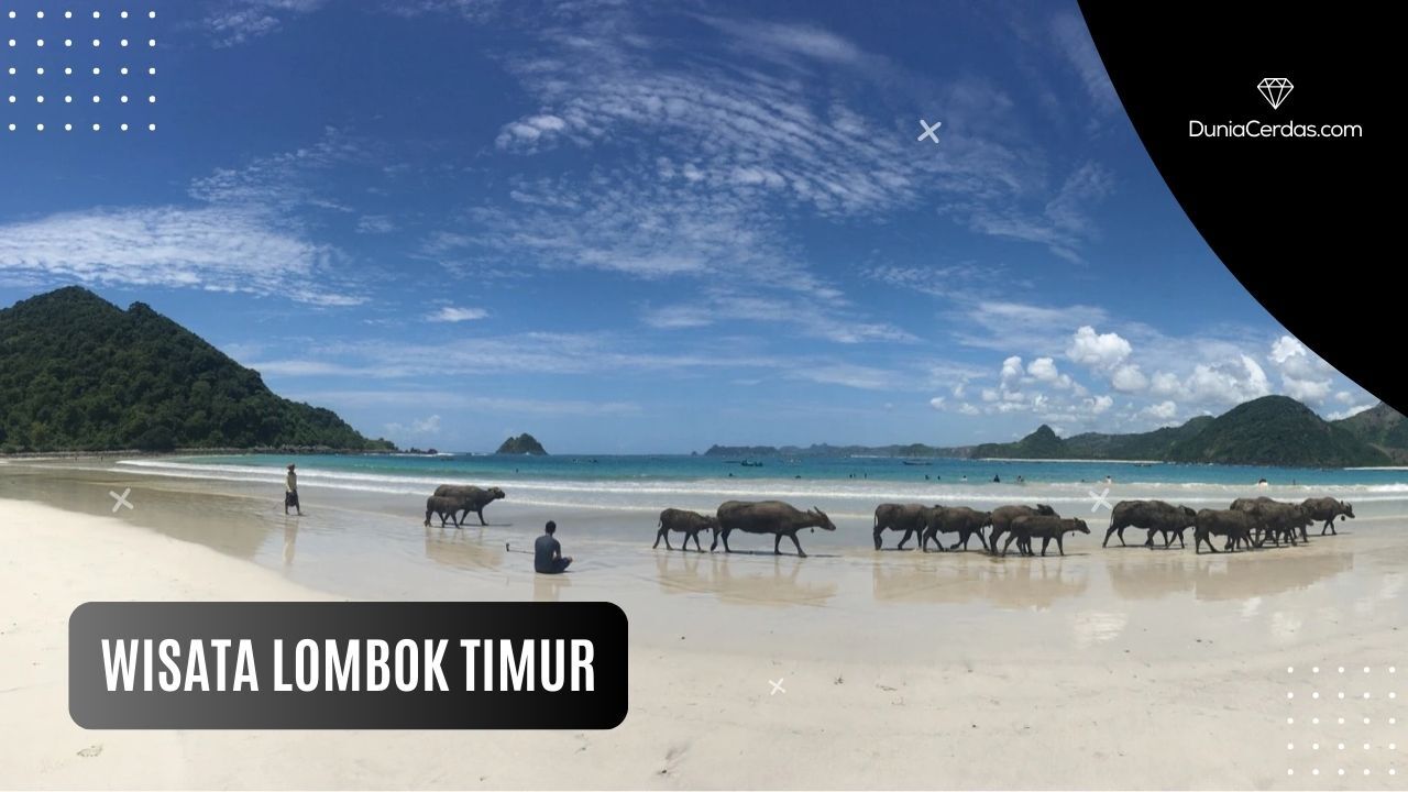 Wisata Lombok Timur: Menjelajahi Pesona Alam dan Budaya - Dunia Cerdas
