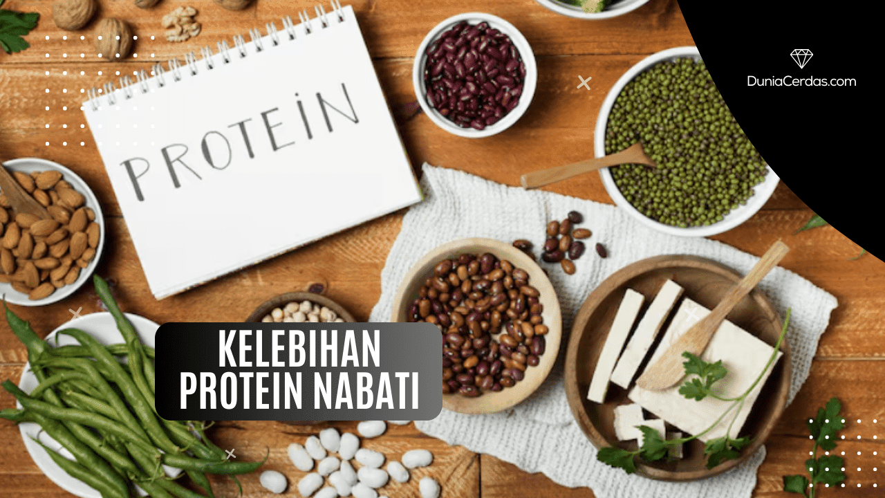Protein Hewani vs Nabati: Mana yang Lebih Baik untuk Tubuh? - Dunia Cerdas
