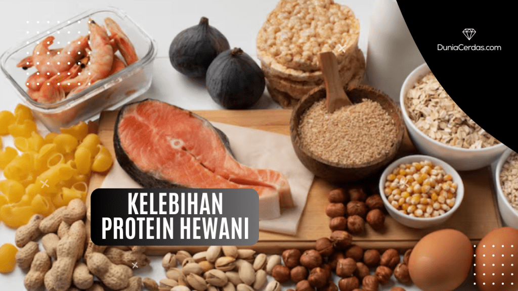 Protein Hewani vs Nabati: Mana yang Lebih Baik untuk Tubuh? - Dunia Cerdas