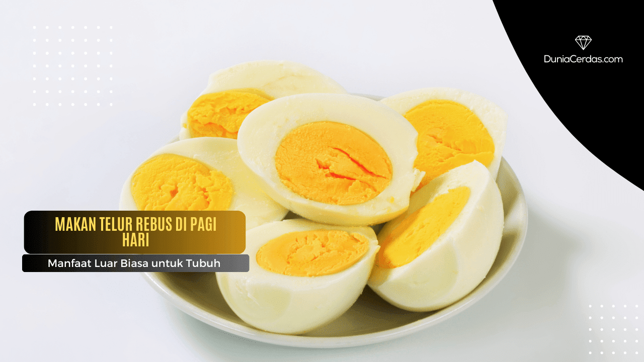 Makan Telur Rebus di Pagi Hari: Manfaat Luar Biasa untuk Tubuh - Dunia ...